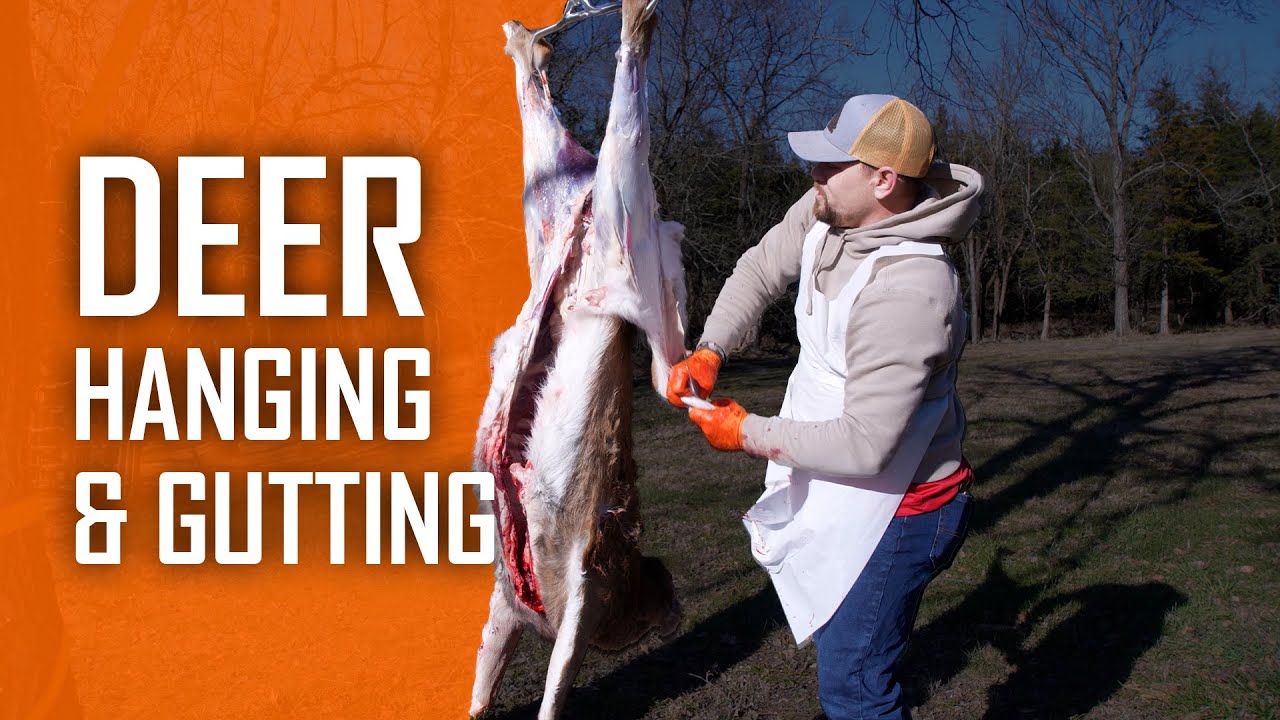 Pro Techniques for Deer Hanging and Gutting - YouTube