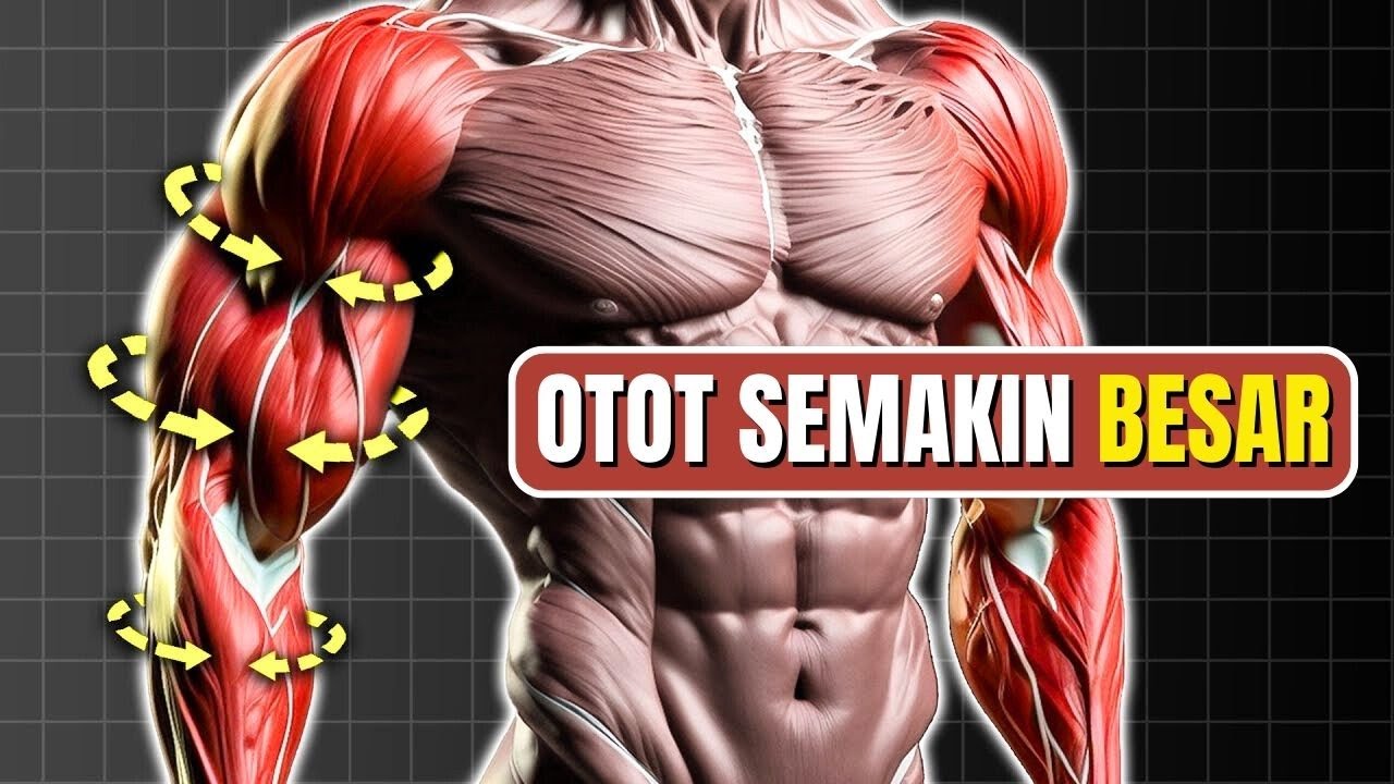 Menaikkan Massa Otot Yang Mudah Dilakukan Youtube