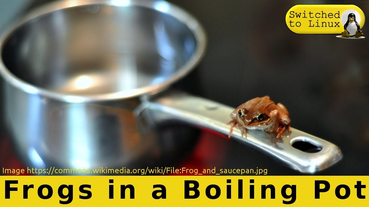 We Are Frogs in a Boiling Pot! - YouTube