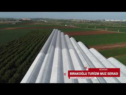 MODERN OTOMASYONLU MUZ SERASI. SERA MEKATRONİK