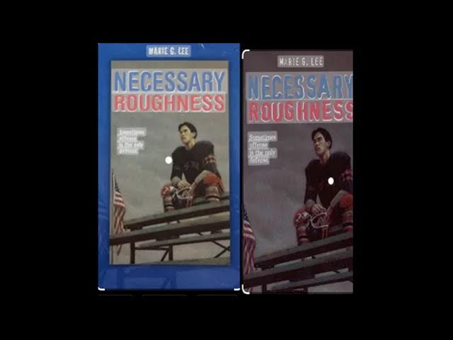 Necessary Roughness Book