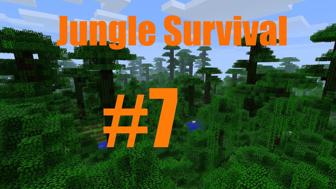 Minecraft Jungle Survival Ep.7: Building the Storage Room - YouTube