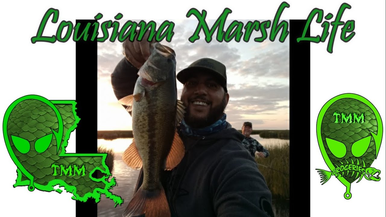 Louisiana Marsh Life - YouTube