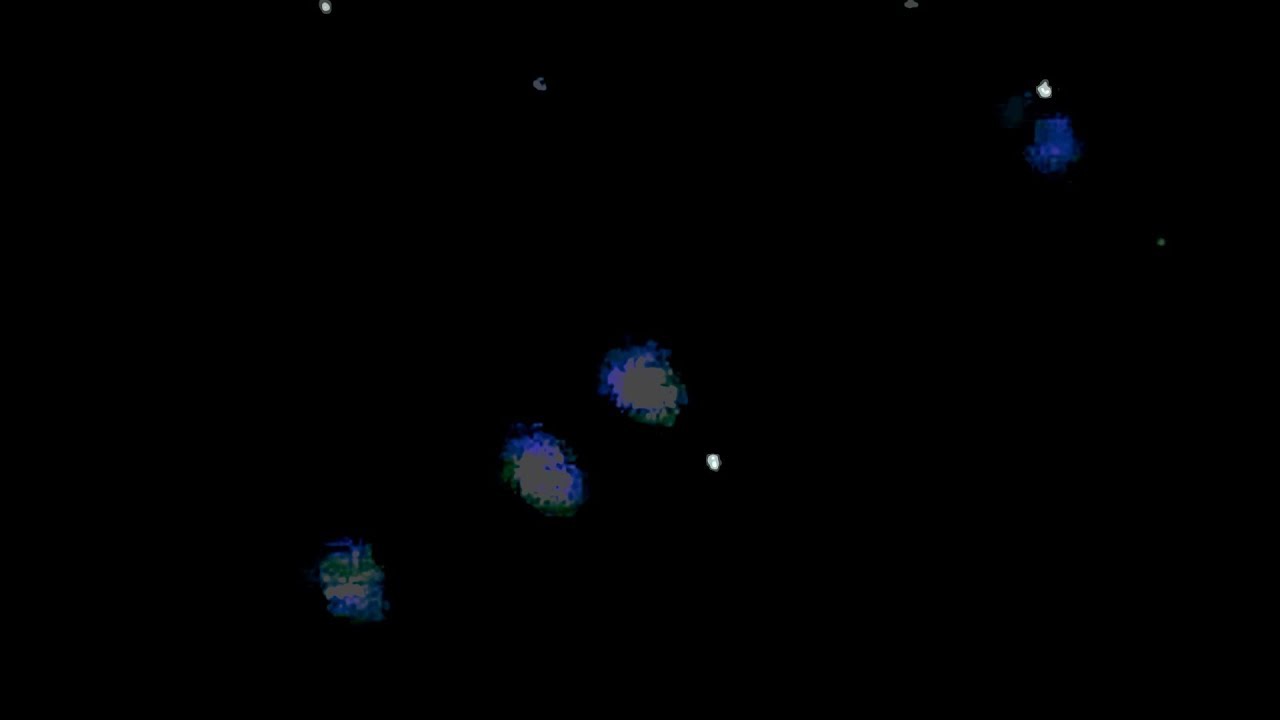 3-06-2019 Anomalies Tracker Hyperstar 470nm IR RGBK Analysis - YouTube