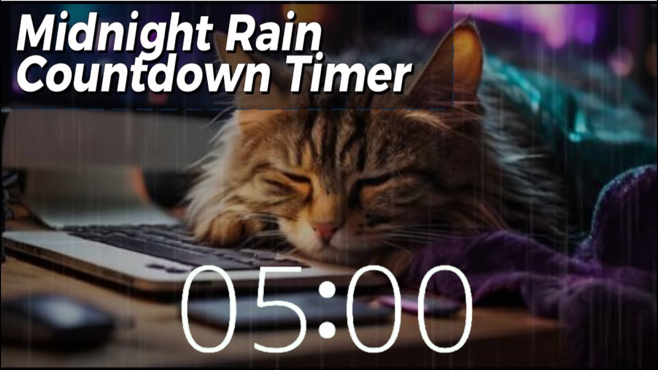 Quick Meditation Break: Serene Rainfall Sounds 🌧️ 5 Minute Timer for ...