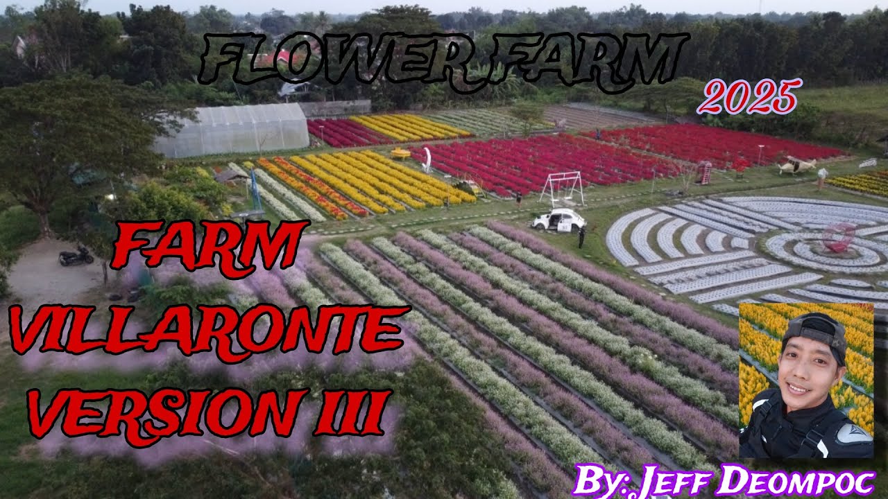 Bulacan to Farm Villante, Flower farm, Nueva Ecija | 2025 | HONDA ADV ...