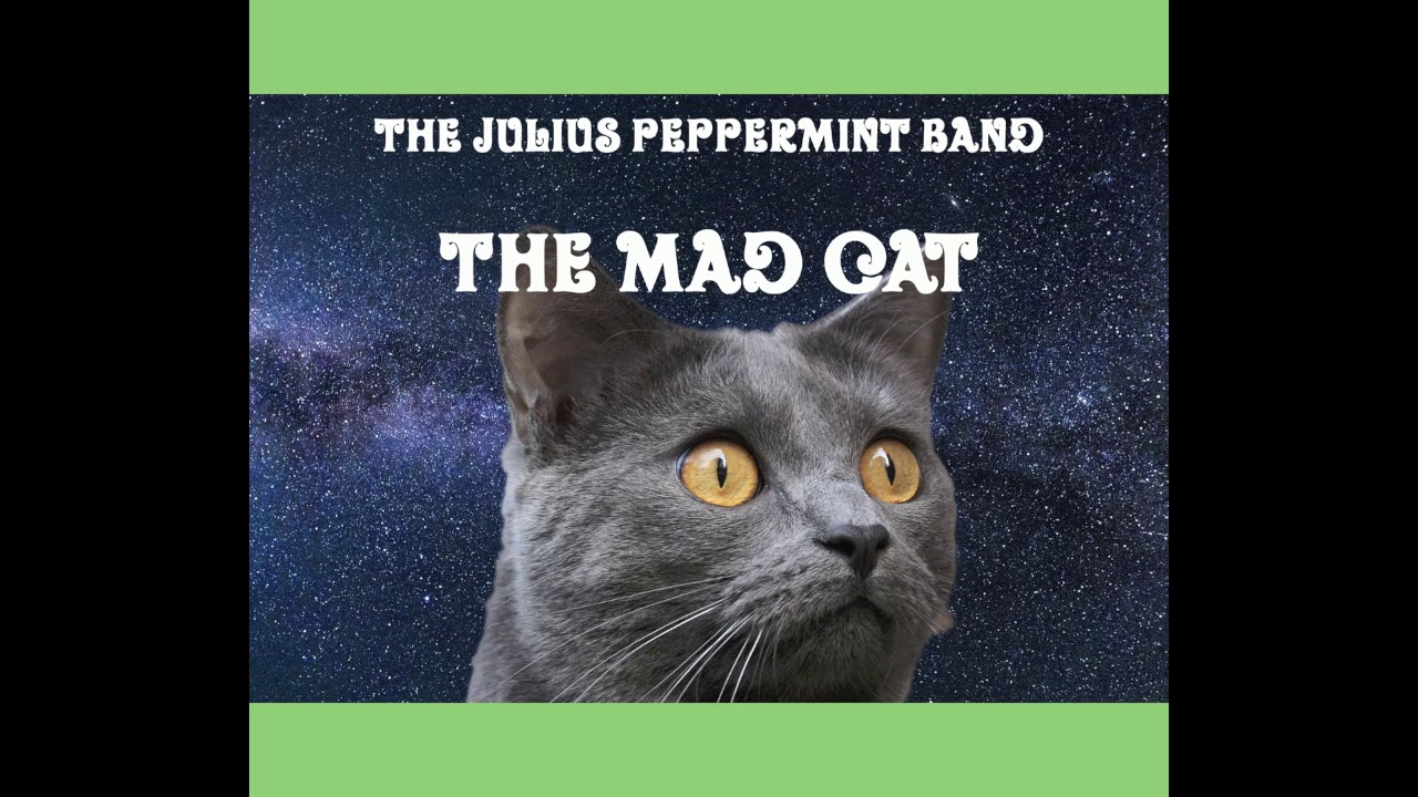 The Julius Peppermint Band - The Mad Cat - YouTube