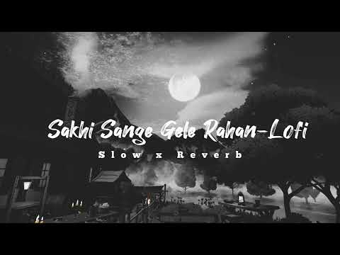 Sakhi Sange Gele Rahan Lo-fi  [ Slow x Reverb ] Aseema Panda || Dexter Muzik