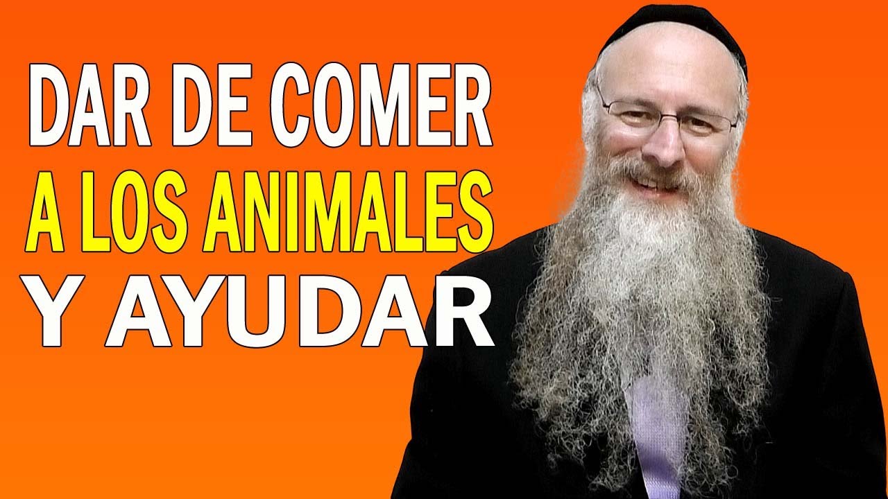 Dar de Comer a los Animales y Ayudar - YouTube