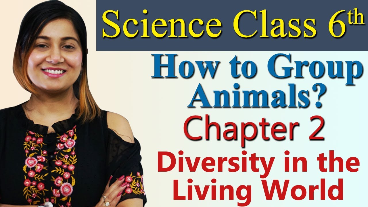 How to Group Animals? - Chapter 2 - Diversity in the Living World ...