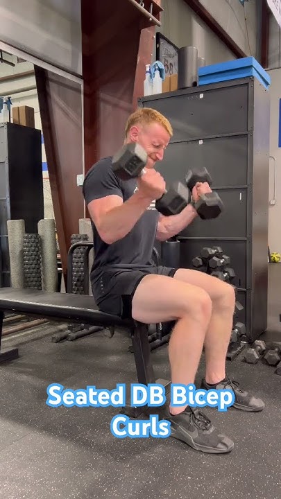 Seated DB Bicep Curls - YouTube