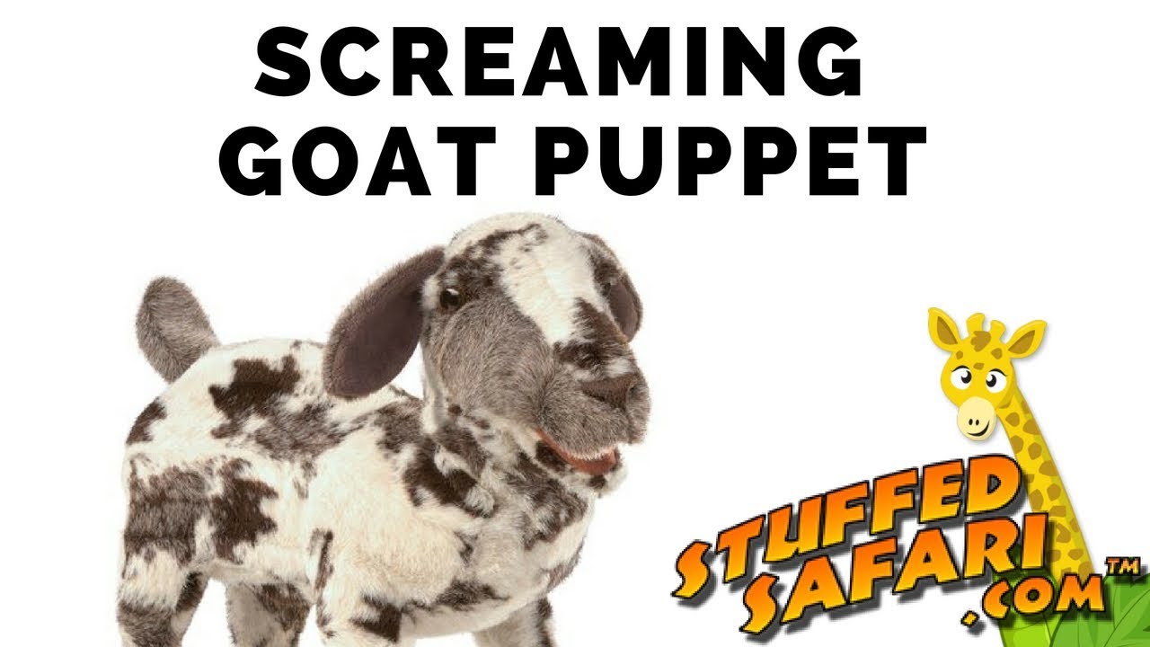 SCREAMING GOAT PUPPET - YouTube
