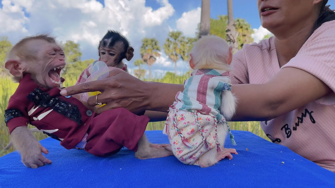 Baby Tav Tav Angry Mom Late To Give Him The Yummy Milk - YouTube