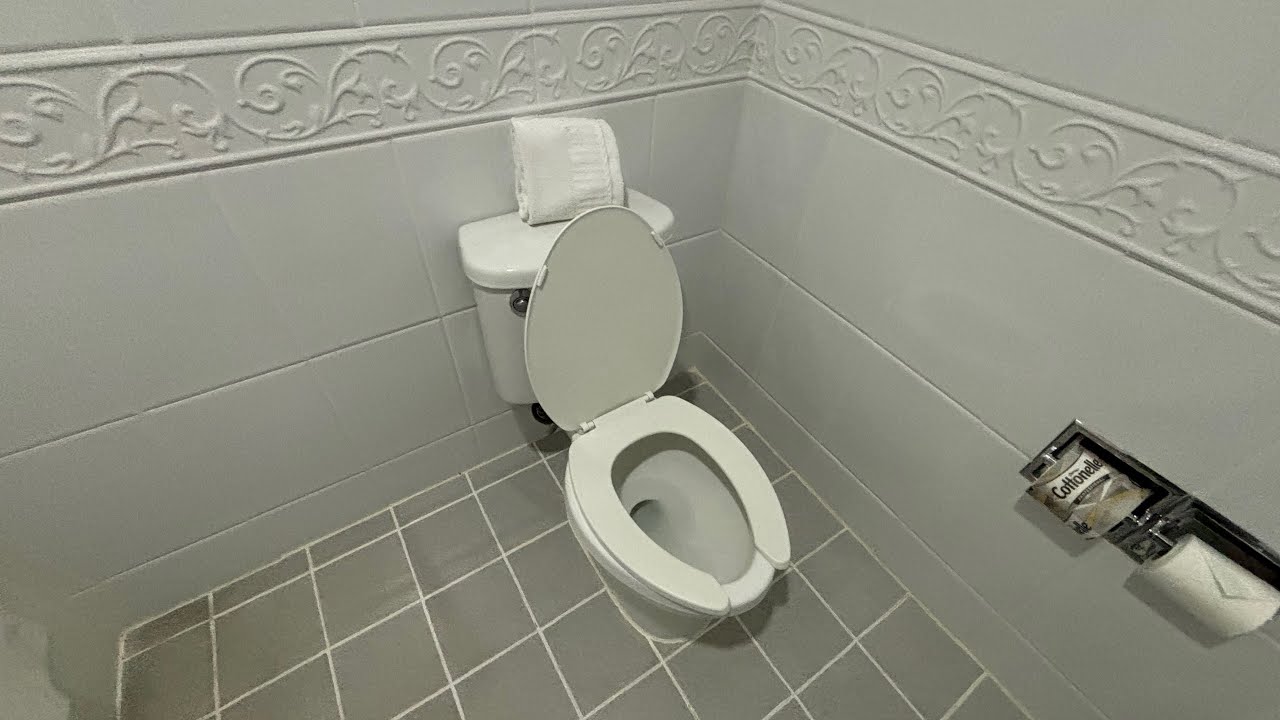 1,796. Lamosa Toilet at Holiday Inn - YouTube