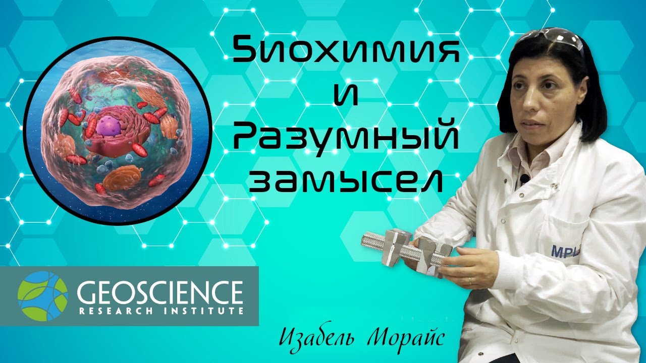 Биохимия и Разумный замысел | Изабель Морайс (Geoscience Research ...