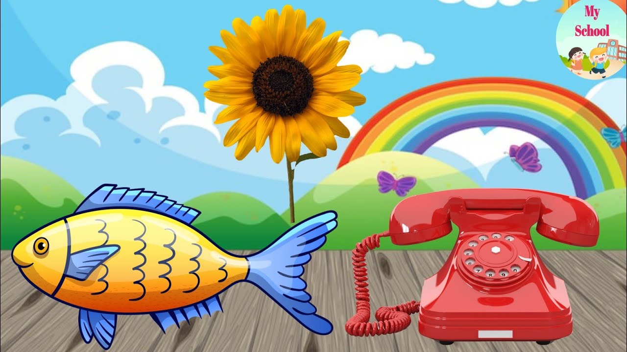 drawing,how to fill colour,sunflower, telephone, fish colour,drawing ...