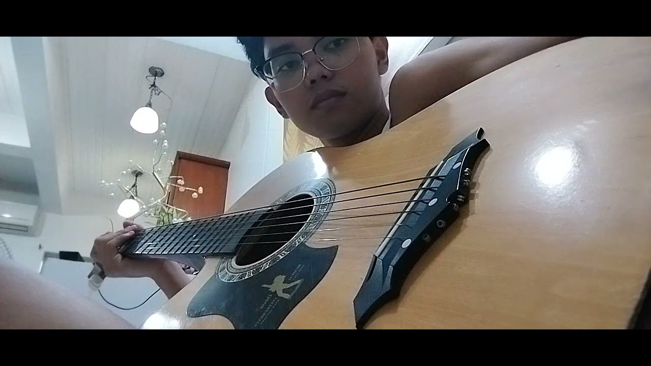 we found two dead swans and filled their bodies with flowers by Teen Suicide –(Cover) - YouTube