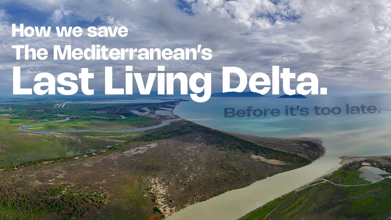 Vjosa Delta Science Week 2024 - YouTube