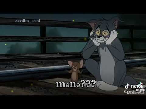 dilxor olmuşam...#video #shorts #tomcerry