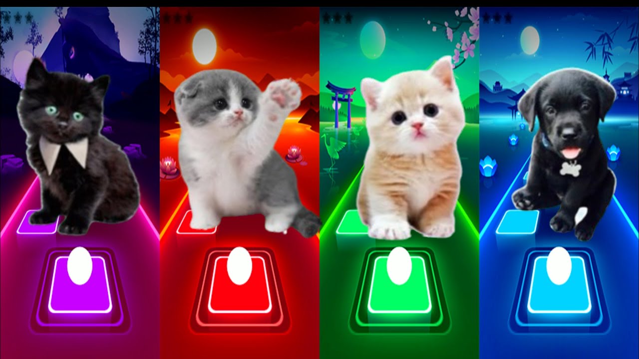 CUTE CAT DANCE MONKEY🎧 JISOO FLOWER 🎧 BLOODY MARY 🎧 CUTE DOG WAKA WAKA 🎧 CATS SONG TILES HOP ...