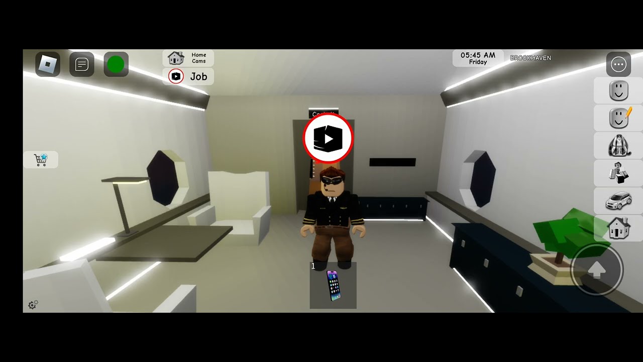 Brookhaven: New animations and more - YouTube