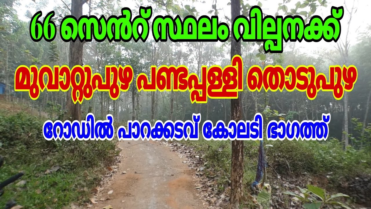 66 Cents of land for sale at Koladi, Muvattupuzha Pandappalli ...