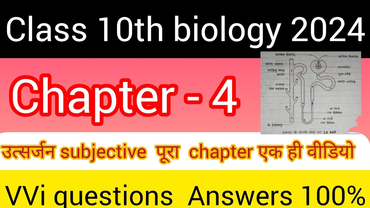 biology class10th उत्सर्जन vvi questions Answers l class 10th biology ...
