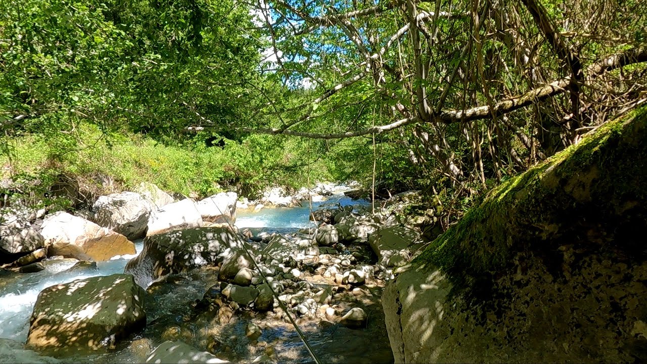 Riarbero | Appennino Tosco Emiliano | Pesca a Mosca - YouTube