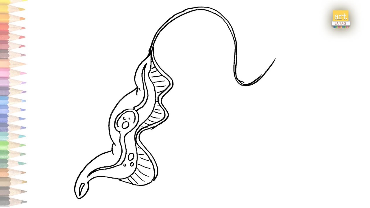 protozoa drawing easy 2 | How to draw protozoa step by step | Science ...