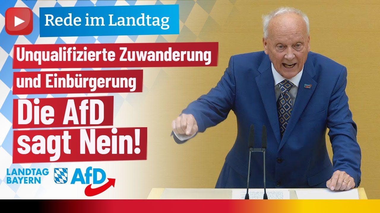 Unqualifizierte Zuwanderung und Einbürgerung - Die AfD sagt Nein! - YouTube