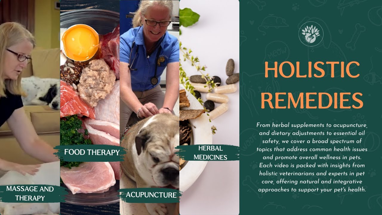 Basic Tui Na for Pets - Relax, Reduce Pain, and Improve Function and ...