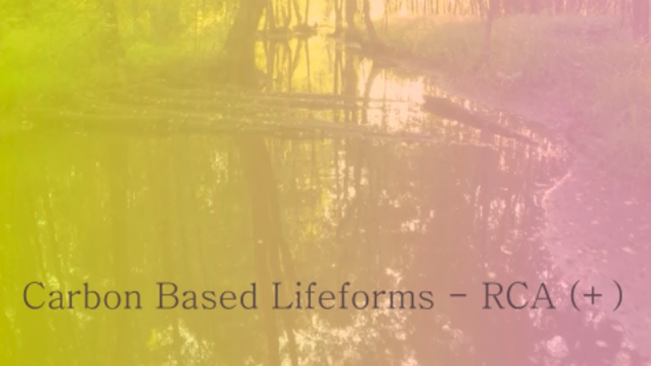 Carbon Based Lifeforms - RCA (+) - YouTube