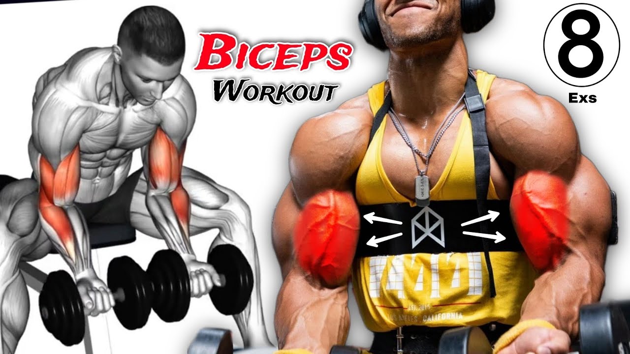 Best Exercises To Build Wider Biceps - (8 Best Biceps Workout) - YouTube