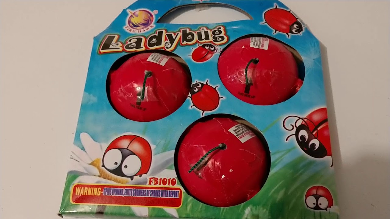 Ladybug from Firehawk Fireworks - YouTube