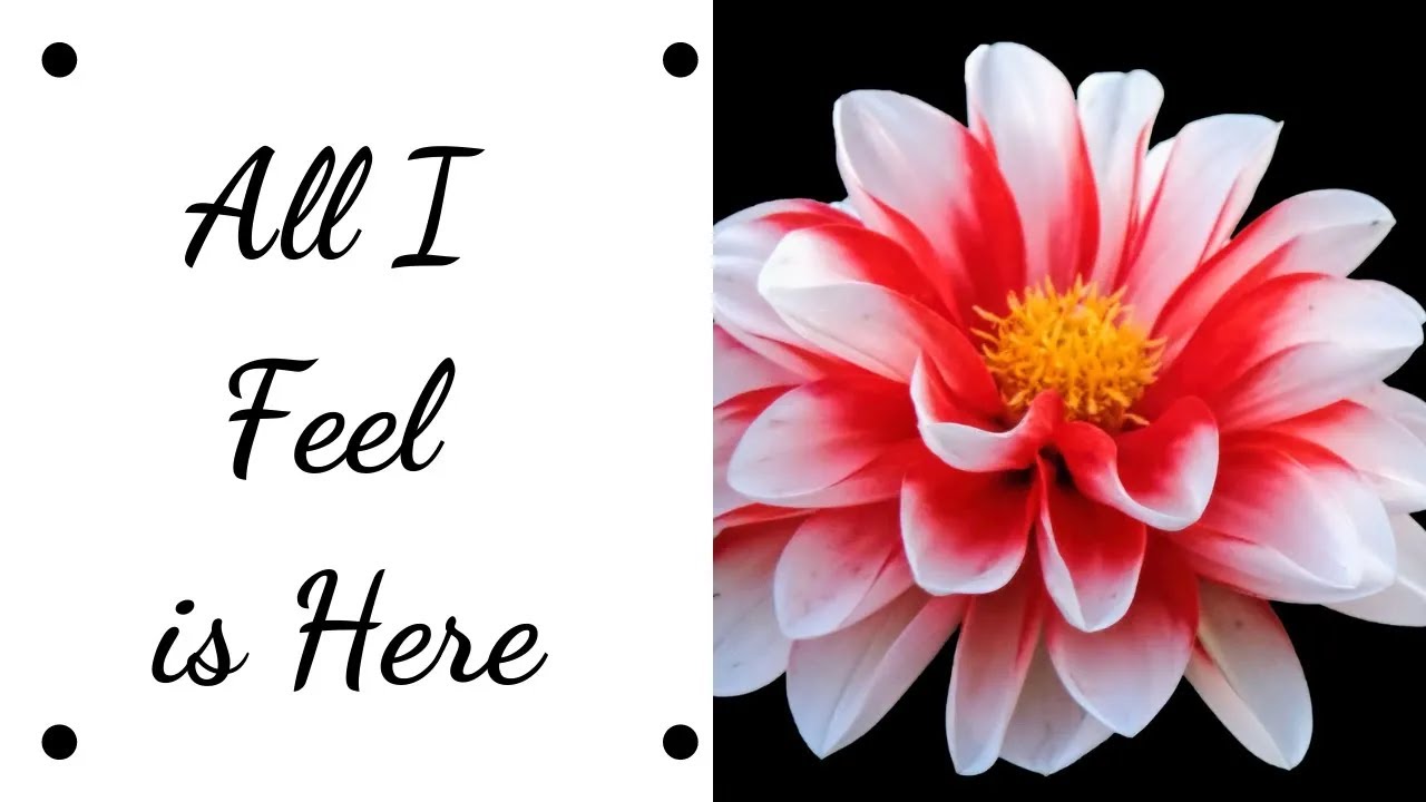 FOREVER BY YOUR SIDE, Love Quotes - YouTube