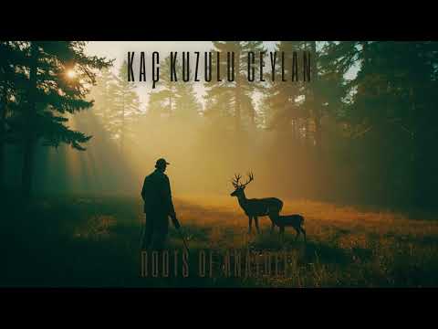 Kaç Kuzulu Ceylan| Psychedelic Anatolian Folk Cover