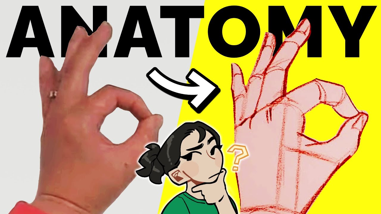 Master Your HAND Drawing: Anatomy & Foreshortening with 8 Step by Step ...