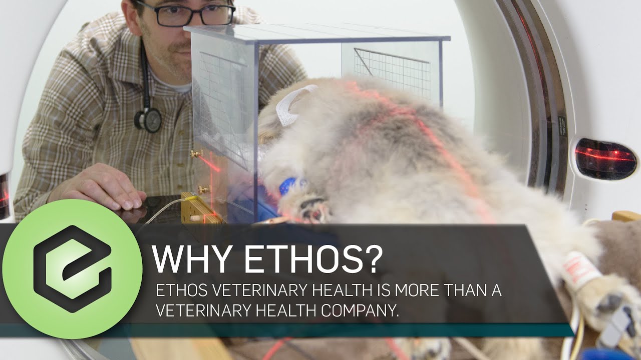 Why Ethos? - YouTube