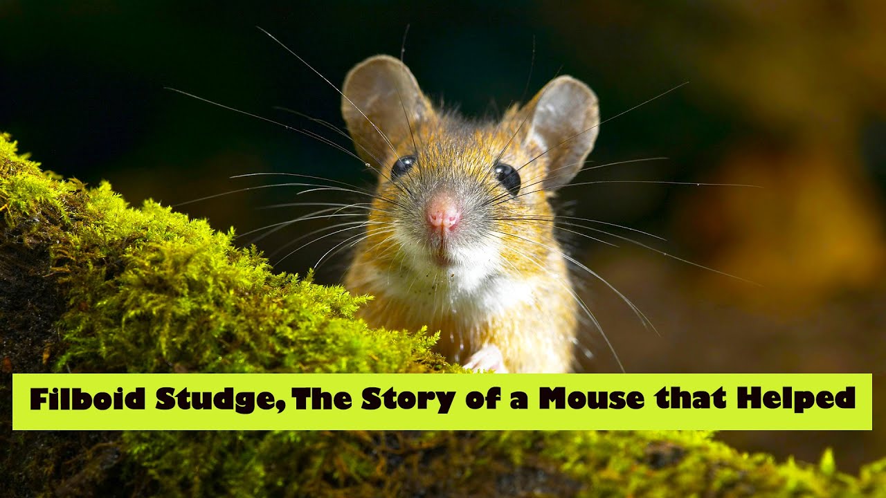 Filboid Studge, The Story of a Mouse that Helped 💎 Saki 🔊 Audiobook ...