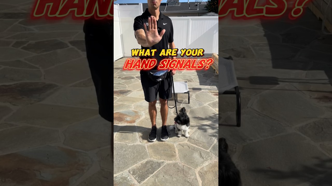 Our hand signals! - YouTube
