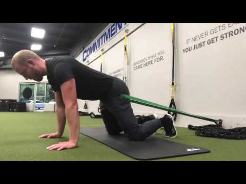 Banded Quadruped Rock Back - YouTube
