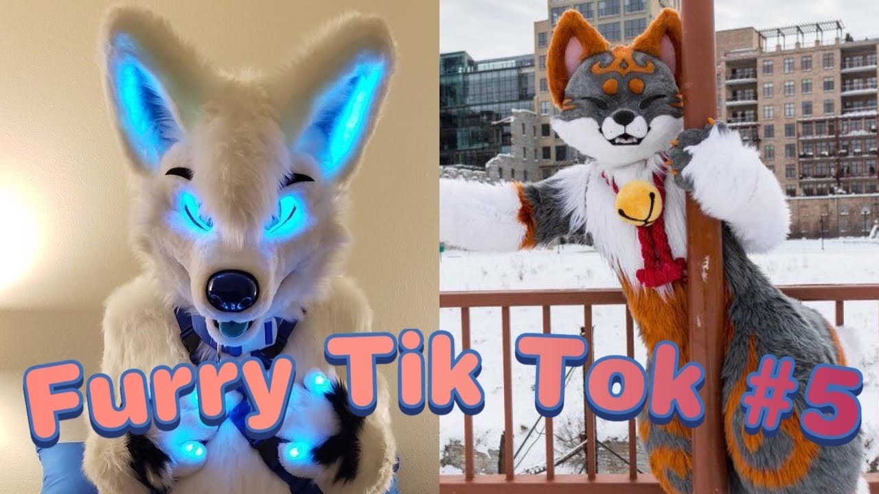 Furry Tik Tok 5 Youtube