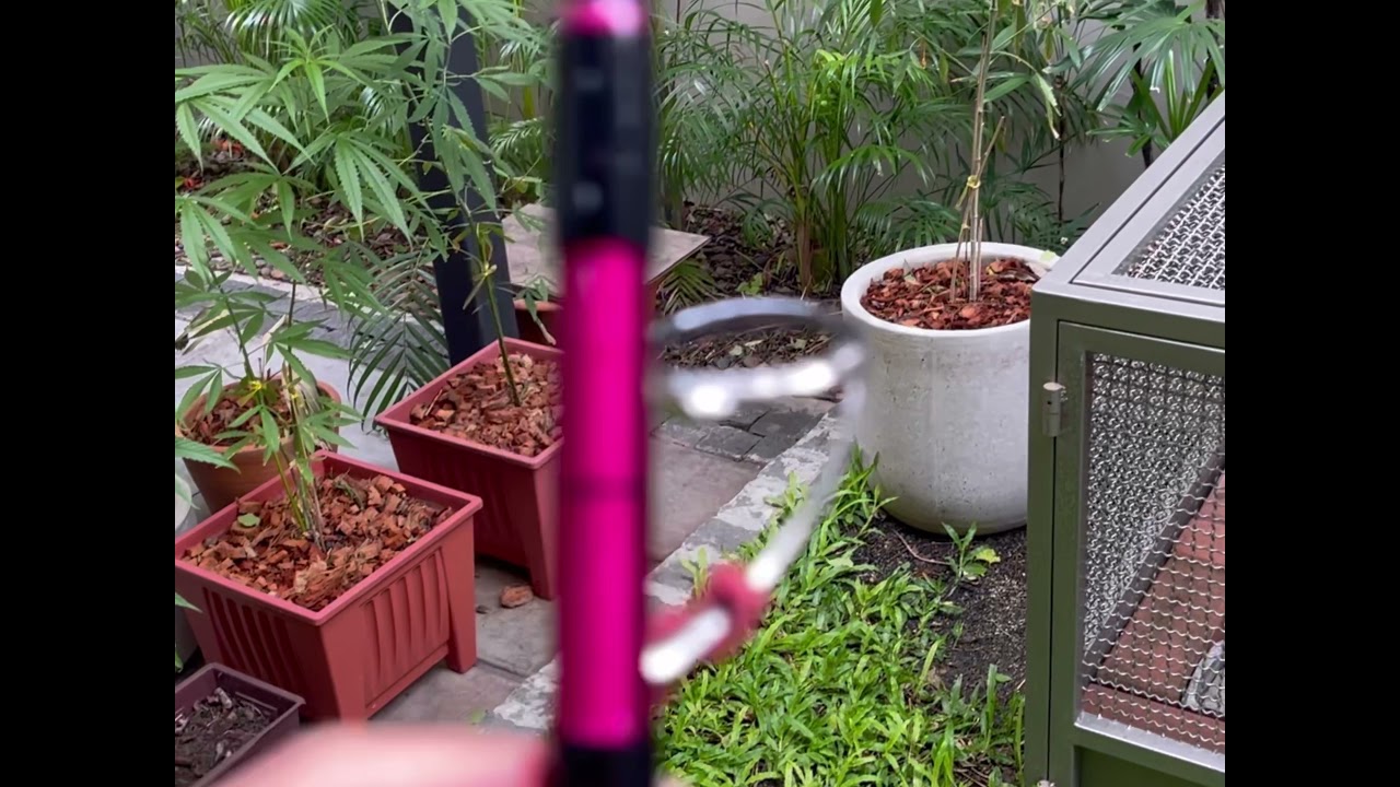 Ripple Fisher Custom Rod - YouTube