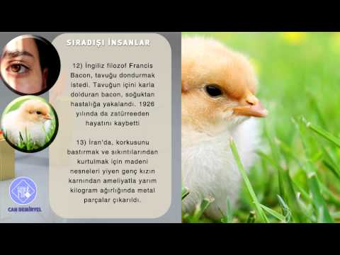 Sıradışı İnsanlar Bu Bilgiler Şaşırtacak