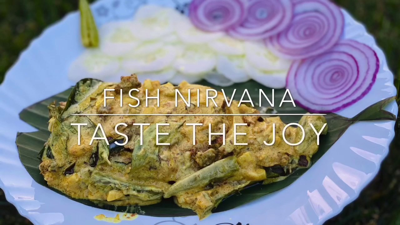 Fish Nirvana - YouTube