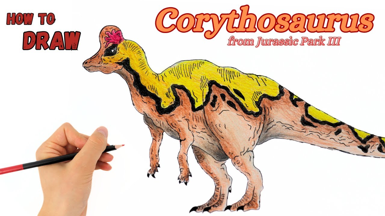 How to draw Corythosaurus from Jurassic Park III - YouTube