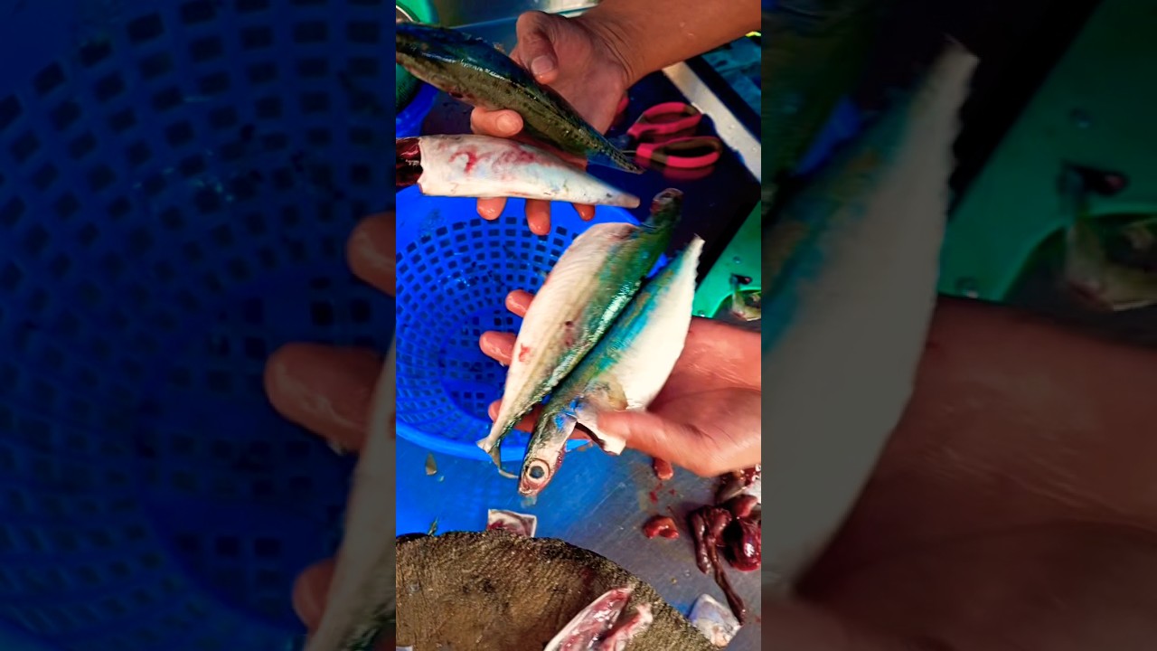 #amazing #fishcutting aila fish cutting mastar #yash lama - YouTube