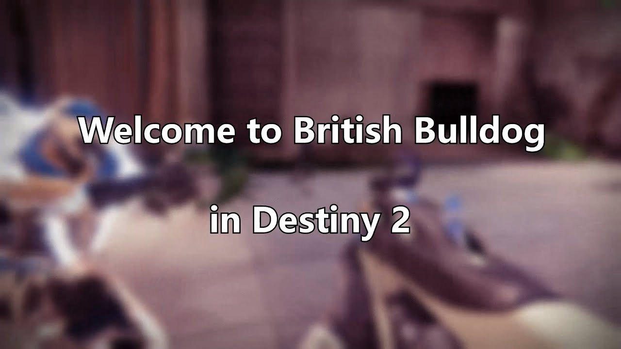 British Bulldog in the Crucible Destiny 2 Lightfall - YouTube