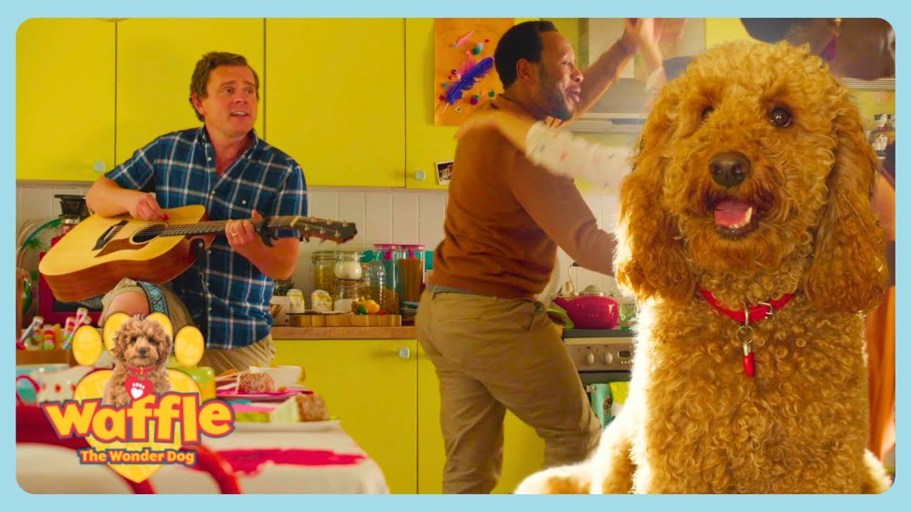 Waffle The Grand Dog! 🤩 🐶 waffle The Wonder Dog Full Episode ...
