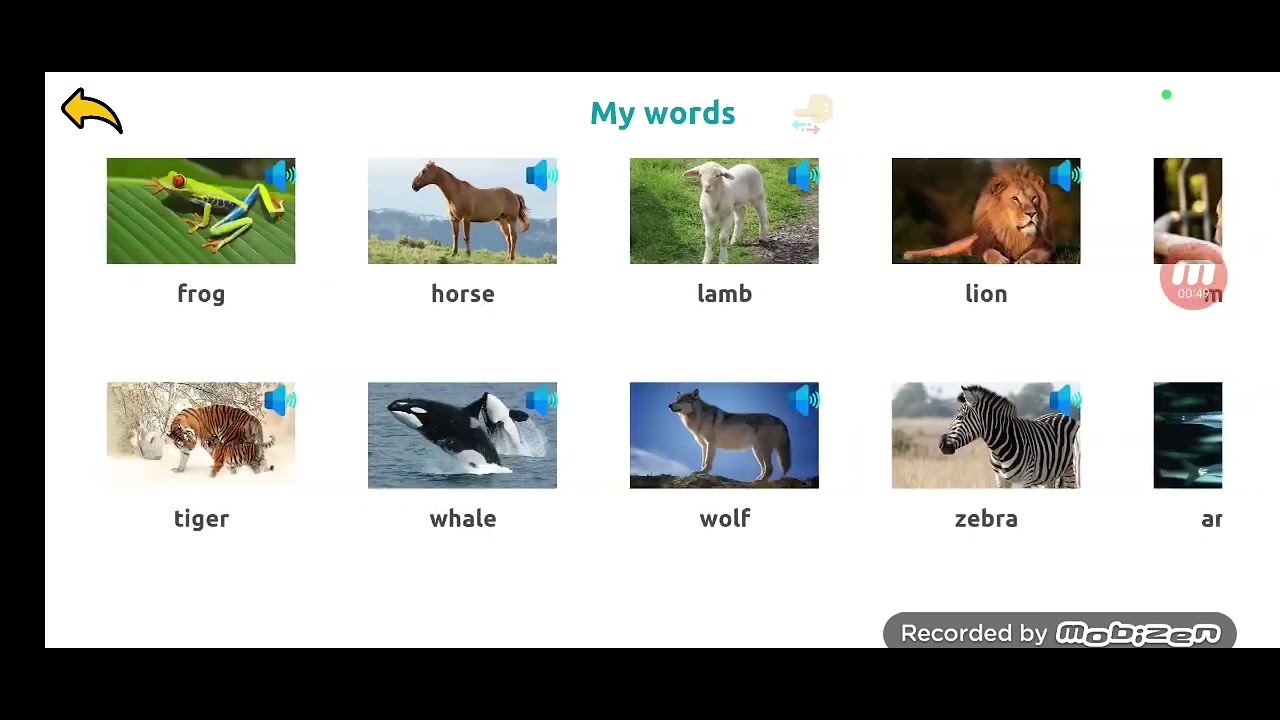 Animal Words - YouTube